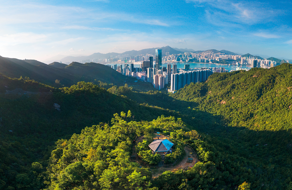 Wellness and Nature | Themed Experiences | Meetings and Exhibitions ...