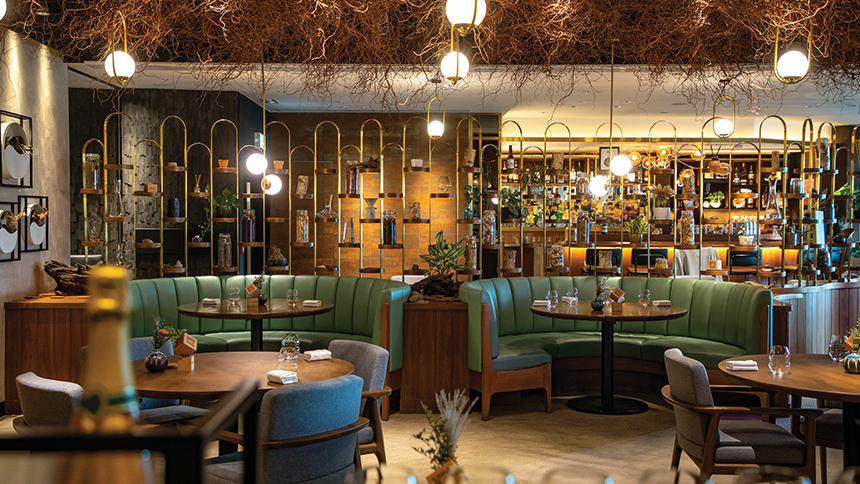 Roganic (Western cuisine)