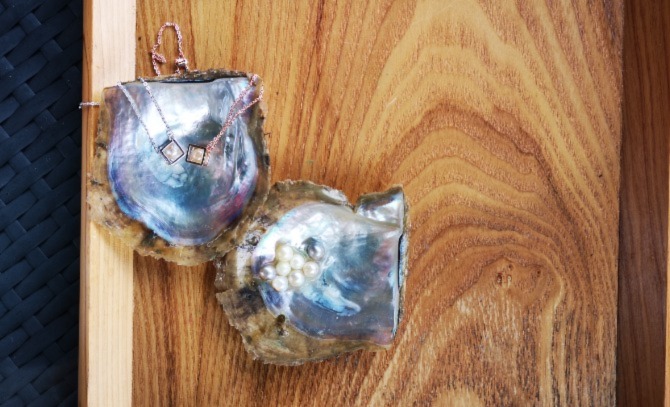 Unlock the secrets of pearls at Sea